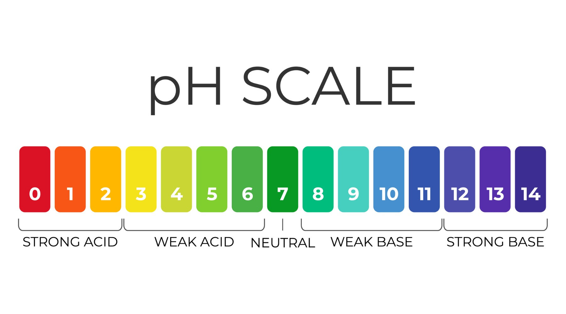 Why Your Skin pH Is So Important: A Dermatologist's POV – SURFACE DEEP